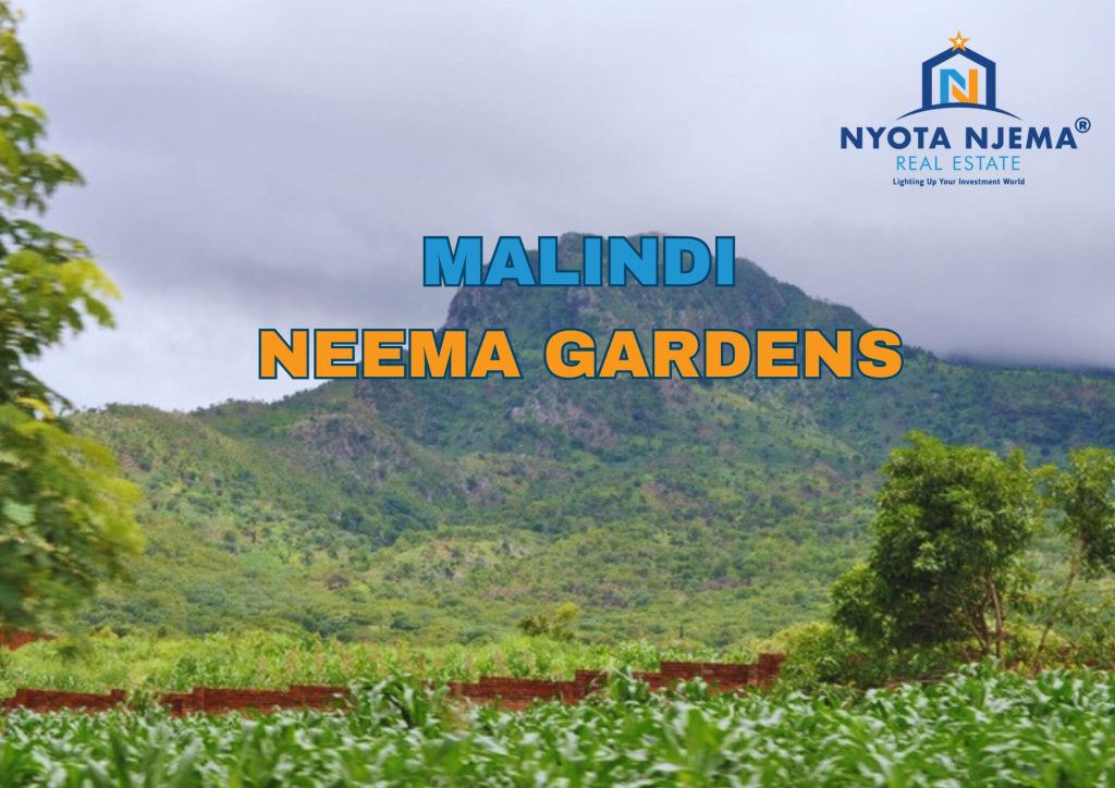 Nyota Njema Real Estate Land Investment Company in Kenya